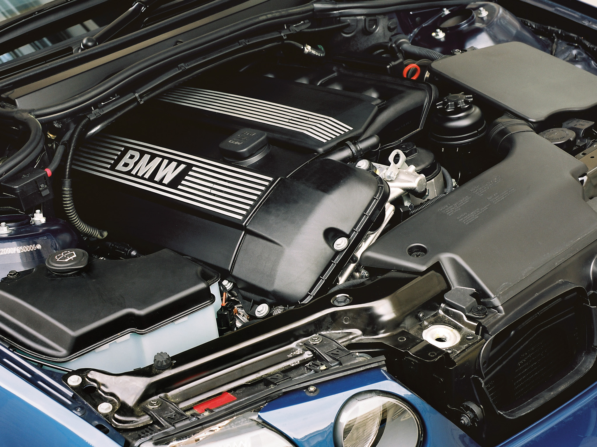 Buying Guide BMW E46/5 3- Drive-My Blogs - Drive